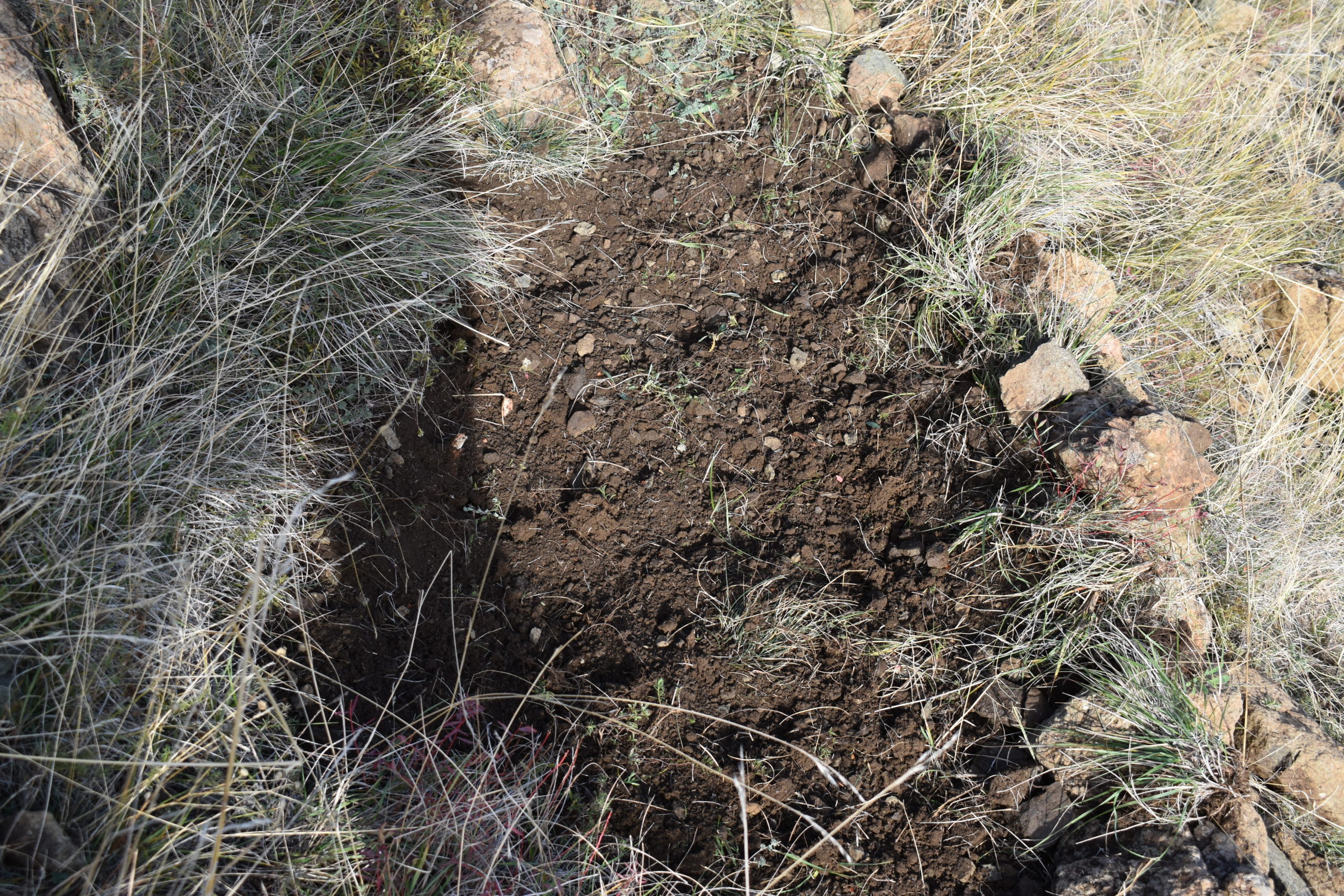 Field expedition to propagate Tulipa albanica in new areas of Surroj ...