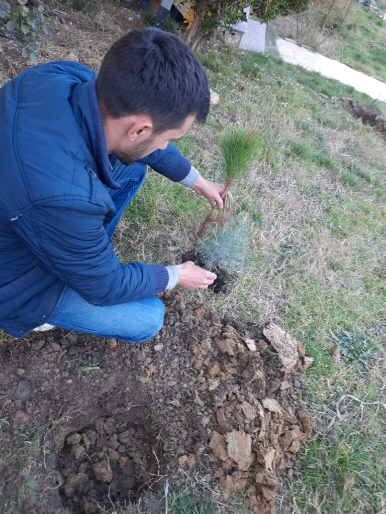 Completion of the climate reforestation activities for the planting ...